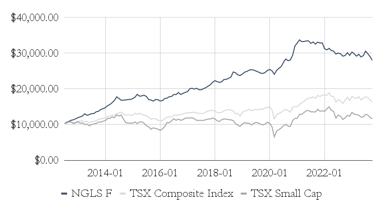 Equity Long-Short Fund LP | NewGen Asset Management